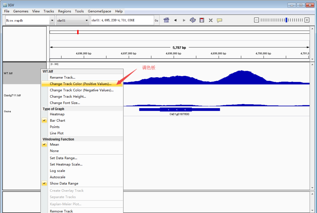 ChIP-seq/DAP-seq/ATAC-seq/CUT&Tag结果可视化-IGV使用攻略 - 知乎