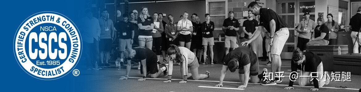 NSCA美国国家体能协会及旗下认证介绍 - 知乎