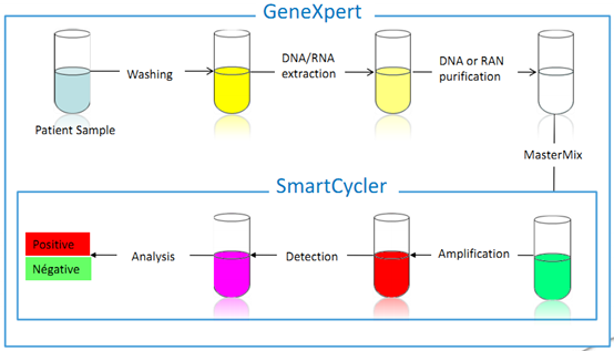 Cepheid公司的GeneXpert芯片检测流程 - 知乎