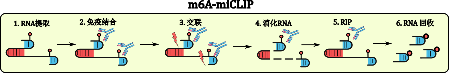 m6A-miCLIP Seq Kit 产品性能报告 (IEMed-K338) - 知乎