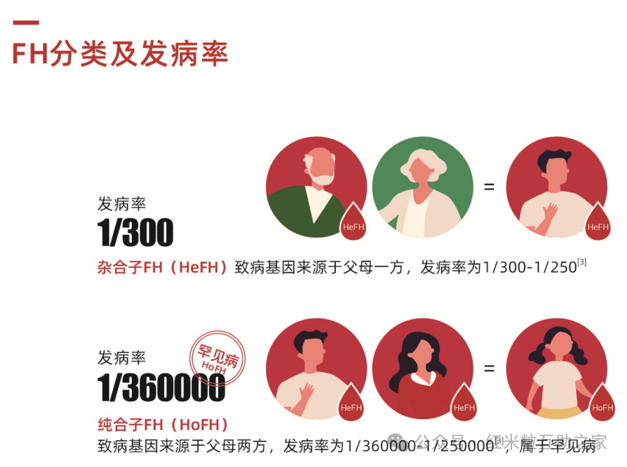疾病科普 | 杂合子FH（HeFH） VS 纯合子FH（HoFH），一字之差到底有何区别？ - 知乎