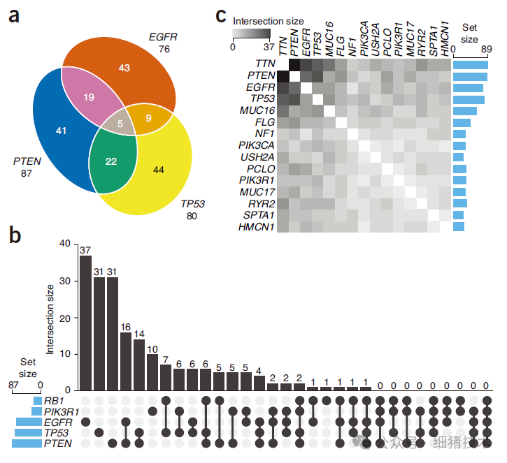 R绘制UpSet图 - 知乎
