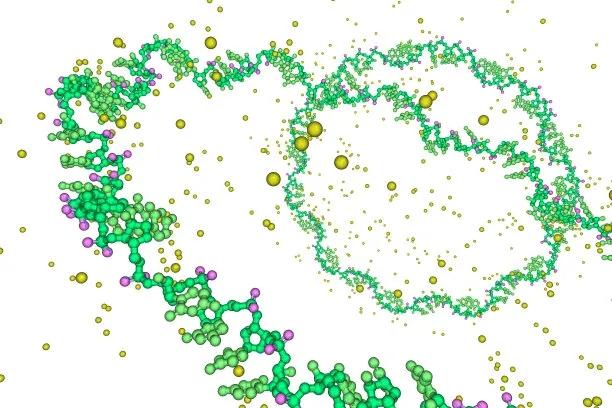 SCI核心期刊发表：CELLULAR & MOLECULAR IMMUNOLOGY - 知乎
