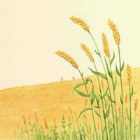 【论文解读】PointDSC: Robust Point Cloud Registration using Deep Spatial Consistency - 知乎