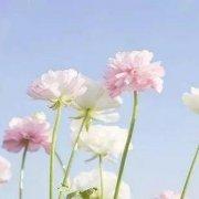 近似点算子（proximal mapping） - 知乎