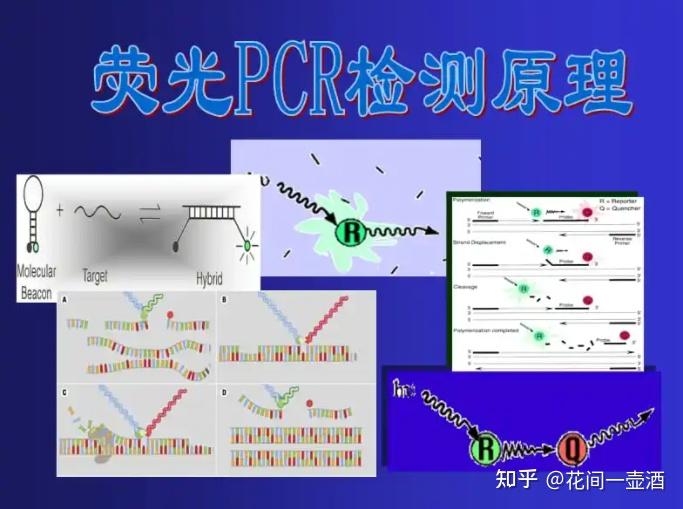 晟唐Lab行（三）：聊聊PCR实验室设计标准，看看晟唐Lab实验场地（上） - 知乎
