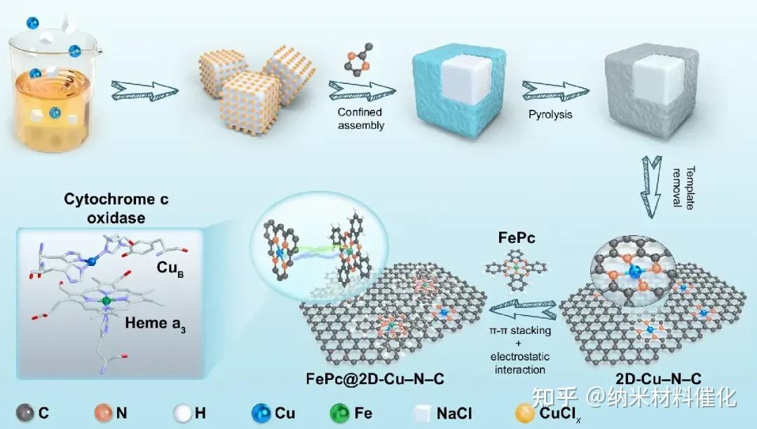【Nat.Commun】用于仿生 O2 活化的单原子 Fe 与 Cu 辅助纳米酶相邻的空间工程 - 知乎