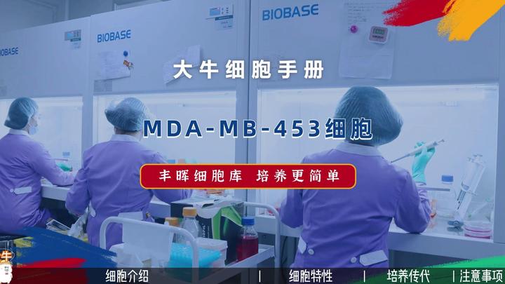 MDA-MB-453细胞培养，人乳腺癌细胞培养攻略 - 丰晖生物 - 知乎