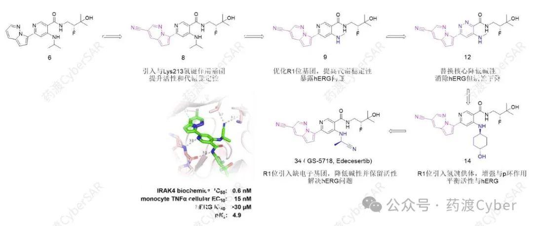 药渡Cyber解析一种强效IRAK4选择性抑制剂Edecesertib（GS-5718）的发现 - 知乎