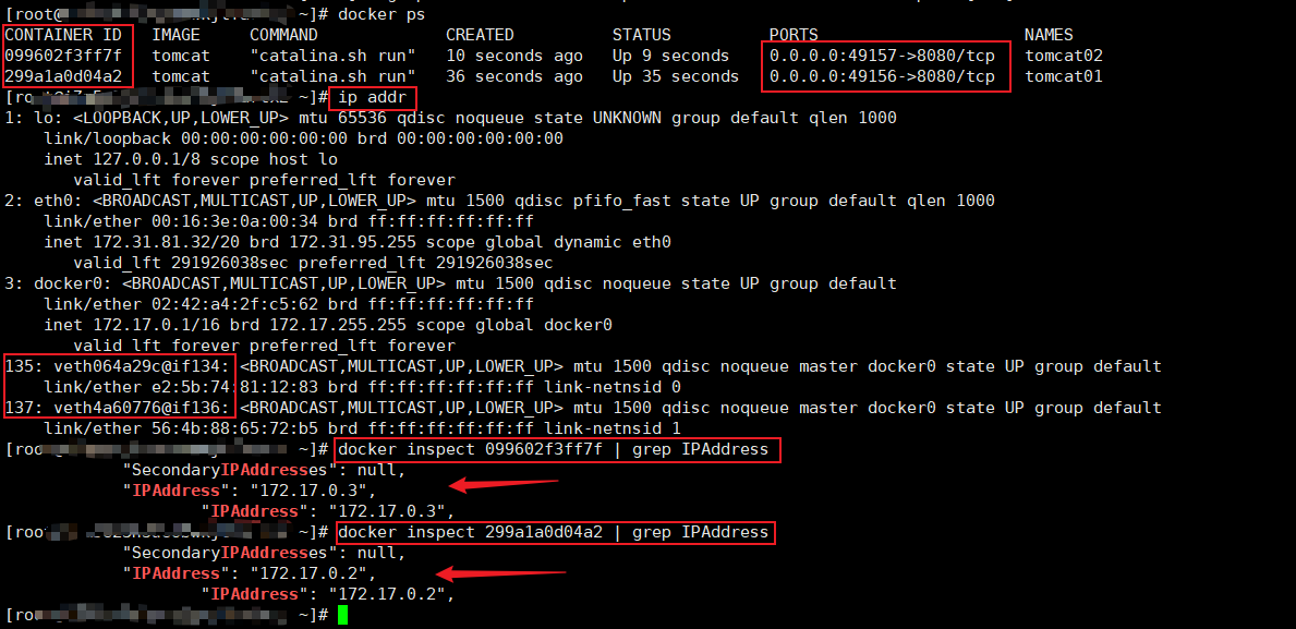 Docker0网络及原理探究 知乎