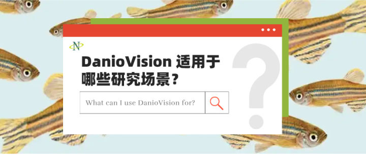 斑马鱼行为轨迹跟踪系统(DanioVision)适用于哪些研究场景？ - 知乎