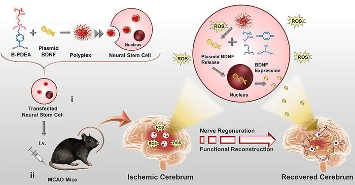 Quercetin槲皮素/Elesclomol伊利司莫/Lutein叶黄素/AZT triphosphate tetraammonium的制备 ...