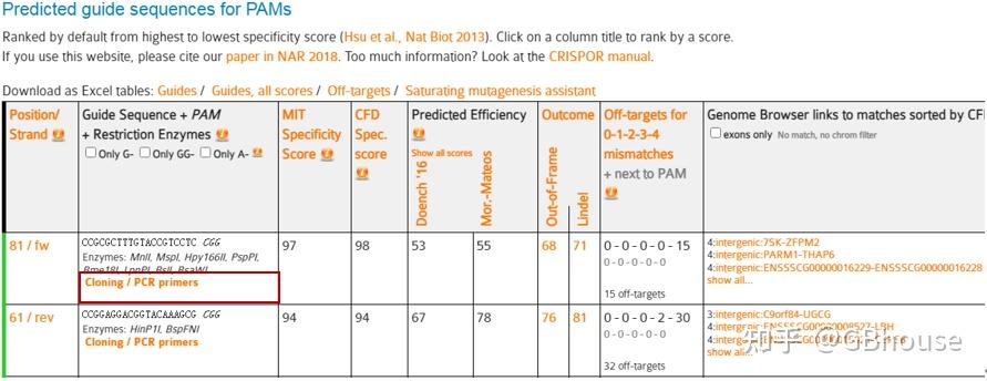 sgRNA实现细胞KO从引物设计到阳性细胞筛选-保证实用 - 知乎