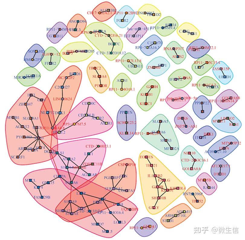 在线绘制带community的蛋白质-蛋白质相互作用（PPI）网络图 - 知乎