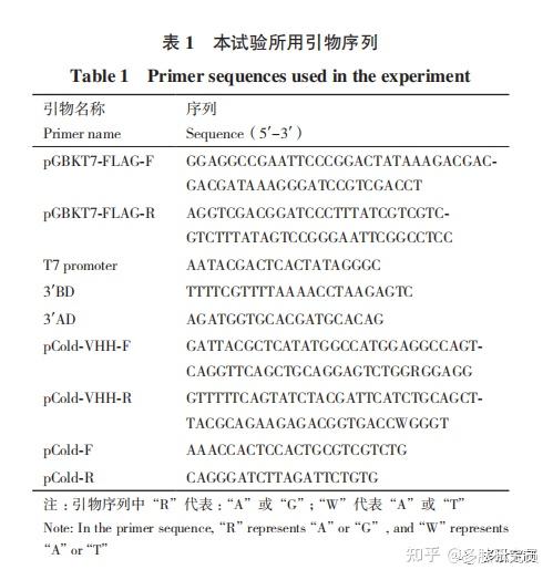 FLAG标签纳米抗体的筛选、表达及验证 - 知乎