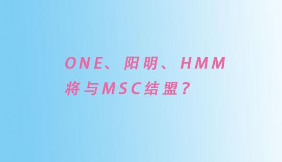 ONE、阳明、HMM将与MSC结盟？ - 知乎