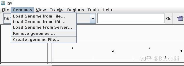 服务器安装IGV并在本地电脑使用 - 知乎
