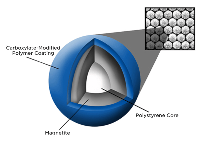 经典磁珠一文解读 | 63000+谷歌学术引用，AMPure XP技术剖析 - 知乎