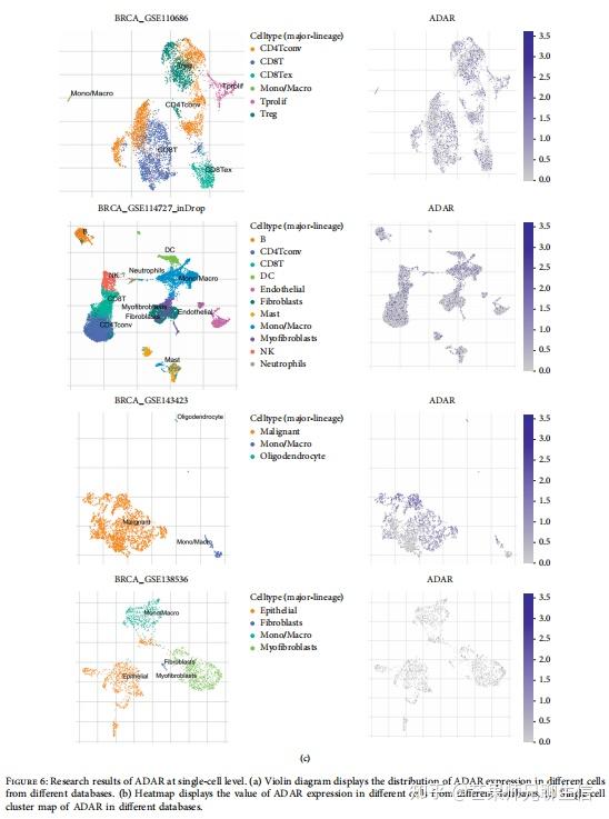 肿瘤免疫 · 实操教程Day19、TISCH实操教程 - 知乎
