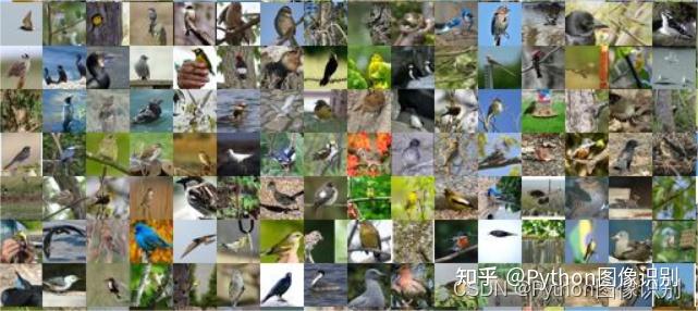 基于深度学习的鸟类检测识别系统（含UI界面、yolov5、Python代码、数据集） - 知乎