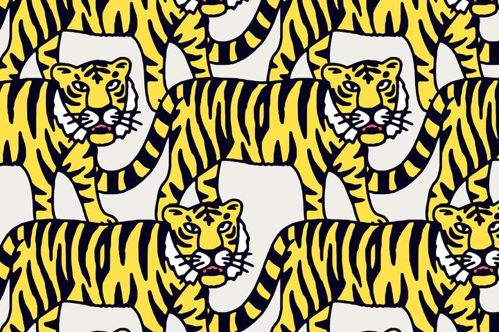 How the tiger got his strips? - 知乎