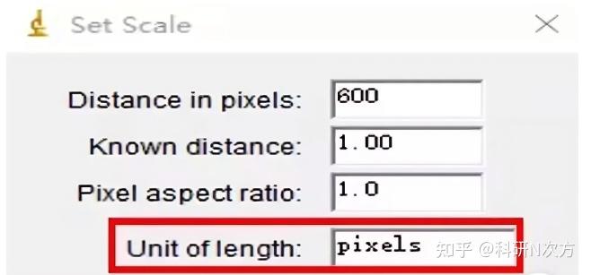 科研干货 | 用Image J 定量分析Western blot条带灰度值！ - 知乎