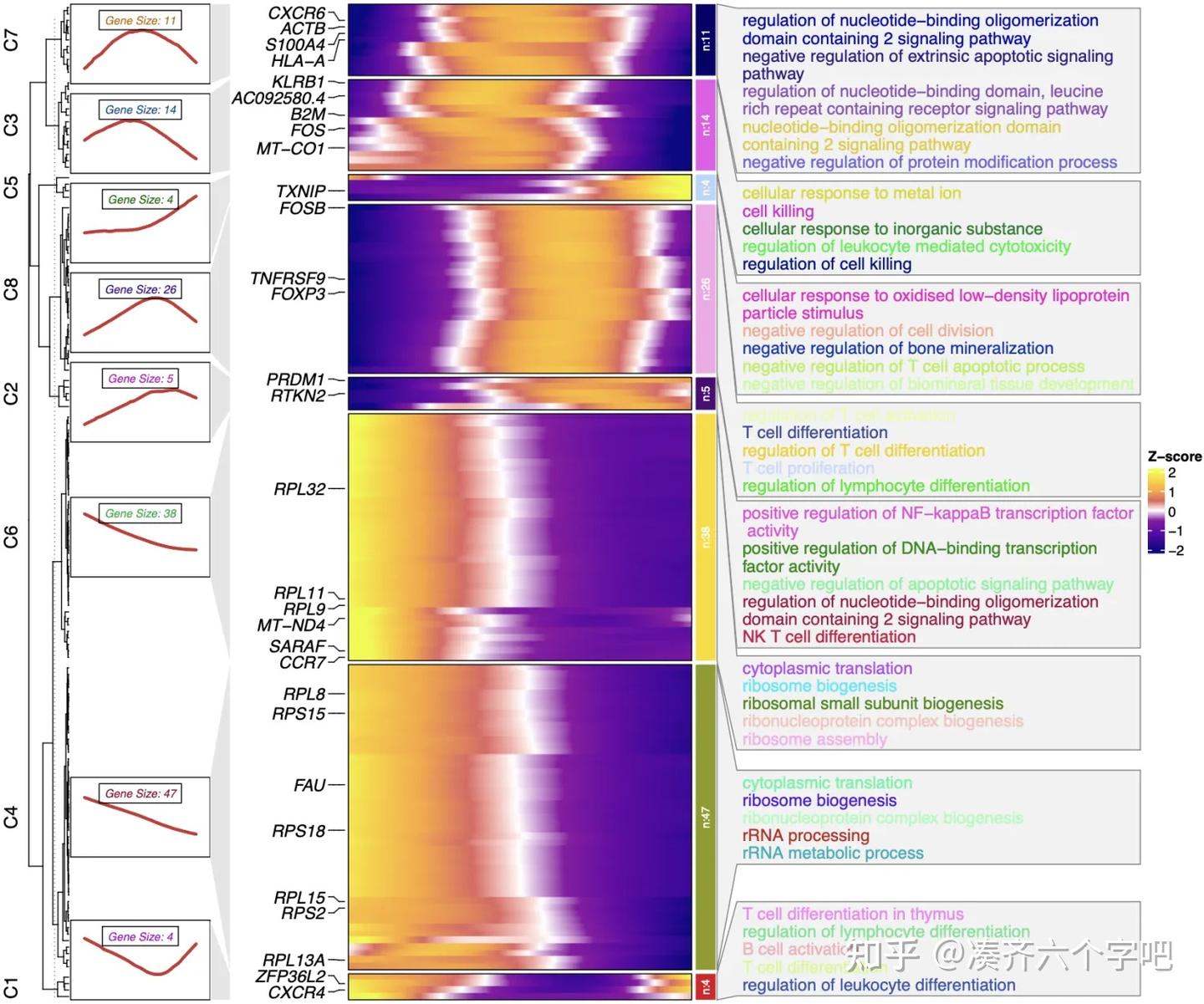 单细胞实战之CytoTRACE2和monocle3——入门到进阶(高级篇2） - 知乎