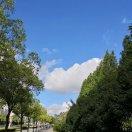 【AI基础】笔记：Caffe、TensorFlow、PyTorch 比较 - 知乎