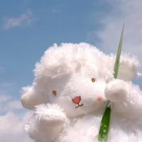 FP32, BF16，int8, int4的区别 - 知乎