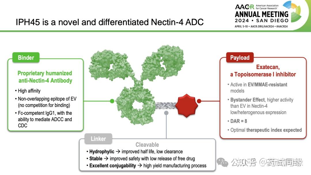肿瘤治疗：全球 Nectin-4 靶向抗体偶联物(ADC)药物研发新进展 - 知乎