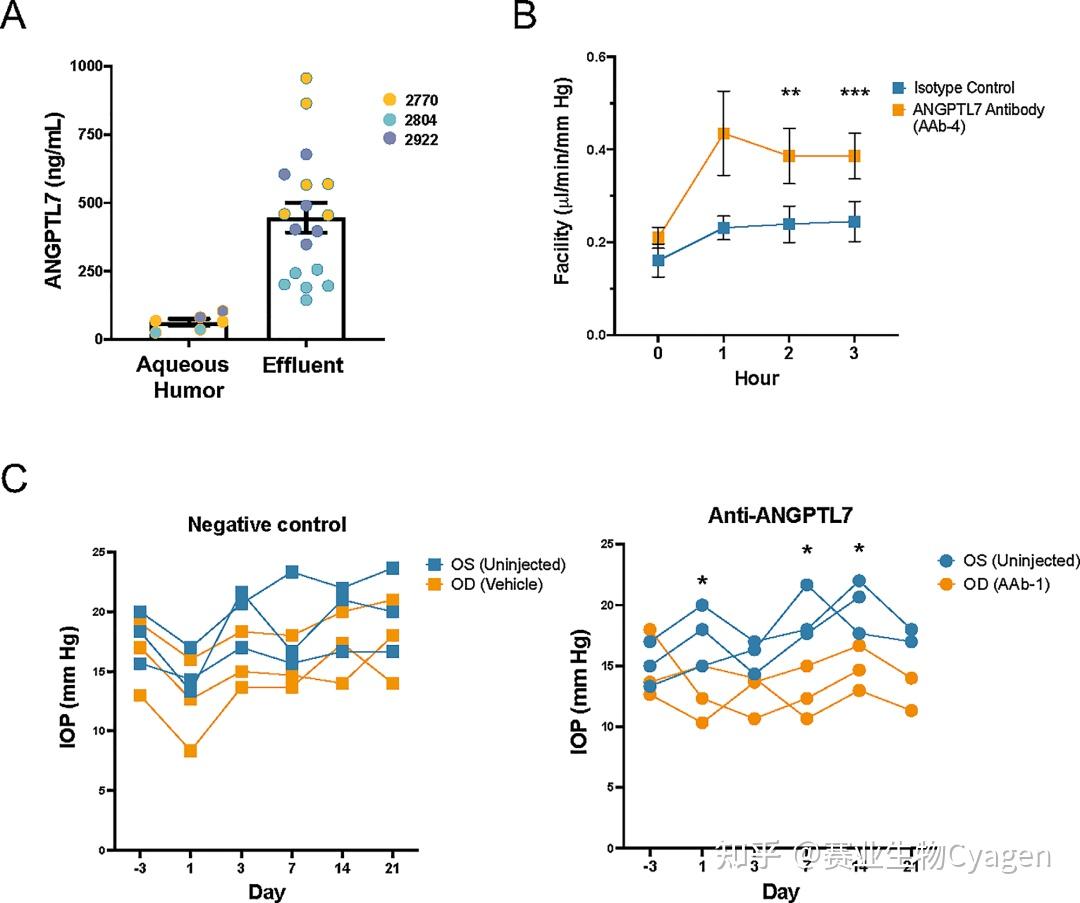 ANGPTL7 & NRL人源化小鼠：助力青光眼与视网膜色素变性广谱疗法研发 - 知乎