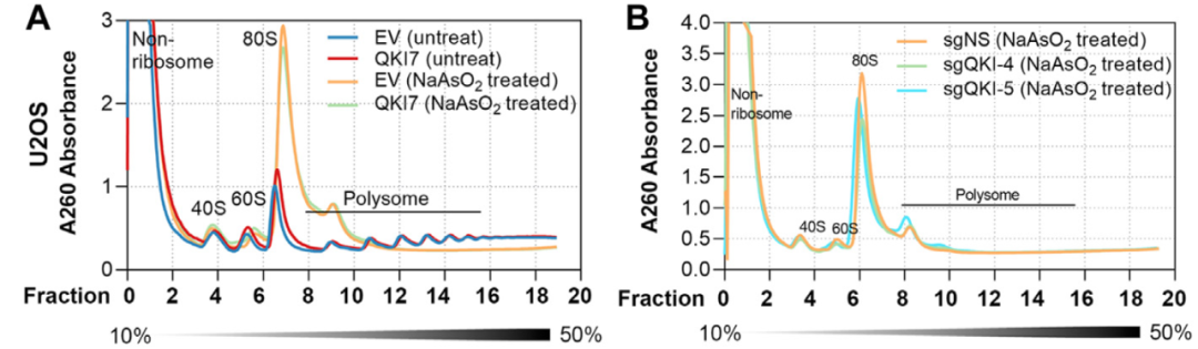 新品上市 | Polysome-seq翻译组测序，评估翻译效率的“黄金标准” - 知乎