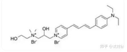 RH 795膜电位荧光探针具有高度的灵敏度和选择性 - 知乎