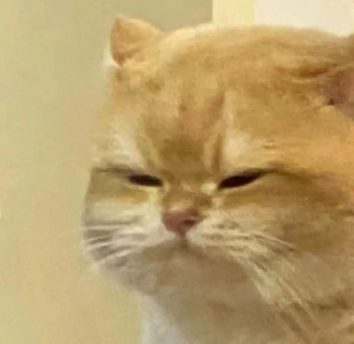 现在准备24Fall英国留学需要注意什么？ - 知乎