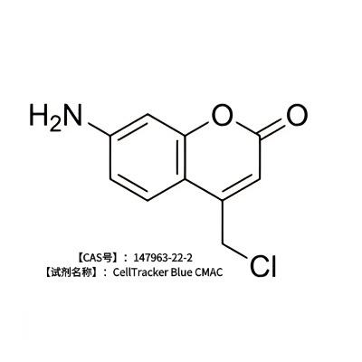 Cell-Tracker Blue CMAC试剂的储存方法 - 知乎