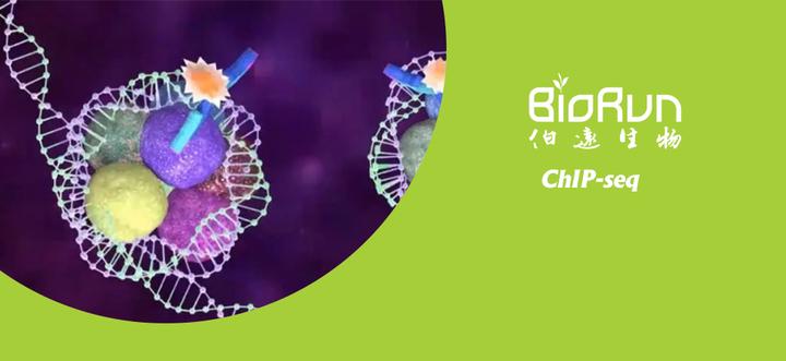 解析表观遗传学的工具——ChIP-seq（二） - 知乎