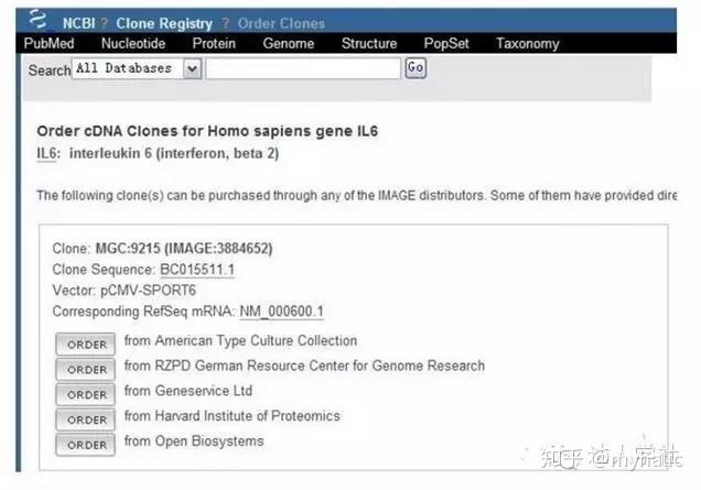 一步一步教你使用 NCBI 查找DNA、mRNA、cDNA、引物设计、BLAST 序列比对等 - 知乎