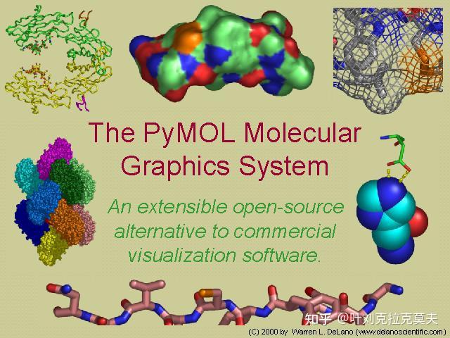 分子图形学简史15 – 沃伦·德拉诺和PyMOL - 知乎