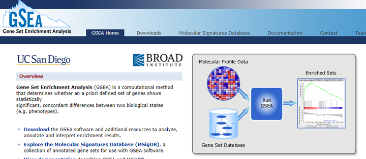 GSEA、GSVA学习记录——用mdnice第一篇 - 知乎