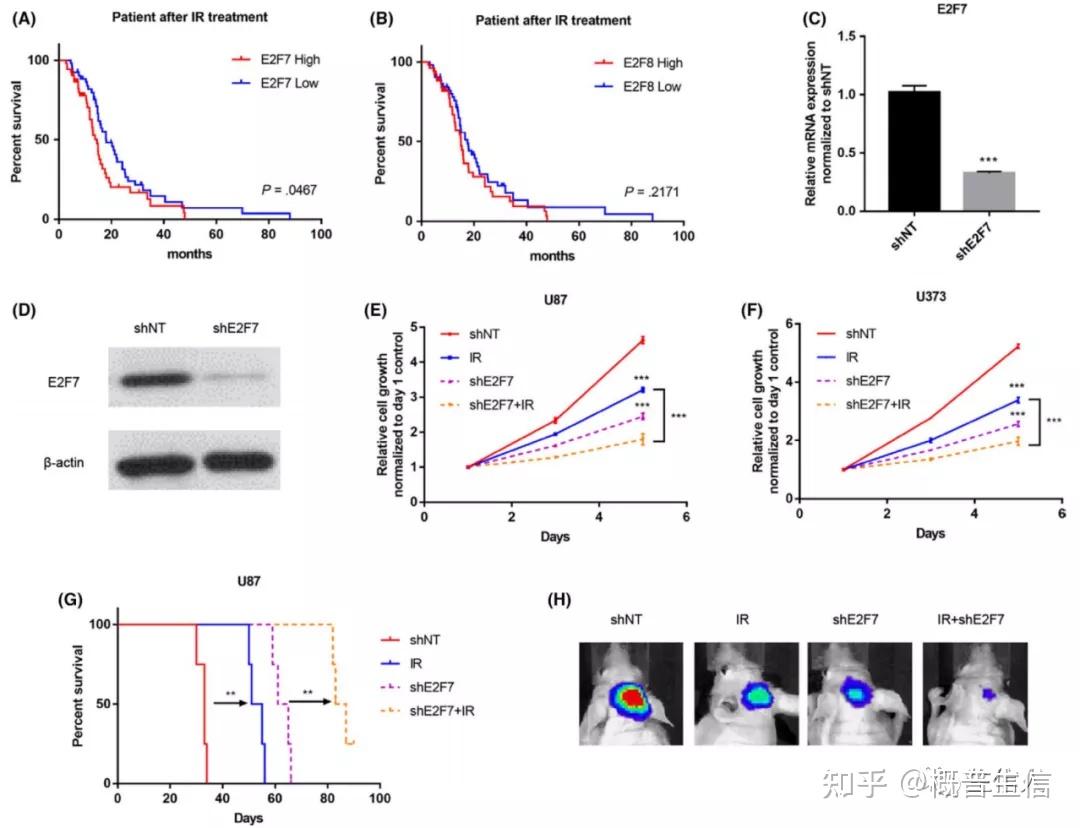 癌症中的E2F转录因子家族 - 知乎