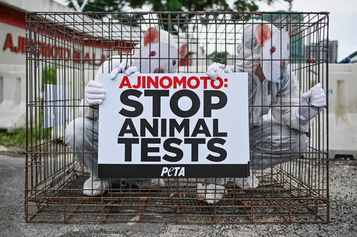 【雅思大作文讲解】动物权益Animal Rights - 知乎