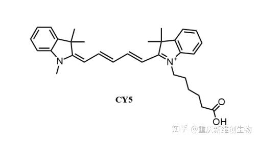 CY (Cyanine) 花菁类染料是什么？ - 知乎