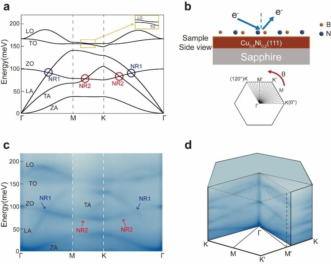 研究快讯 | 单层六方氮化硼中拓扑节线环声子的实验观测 - 知乎