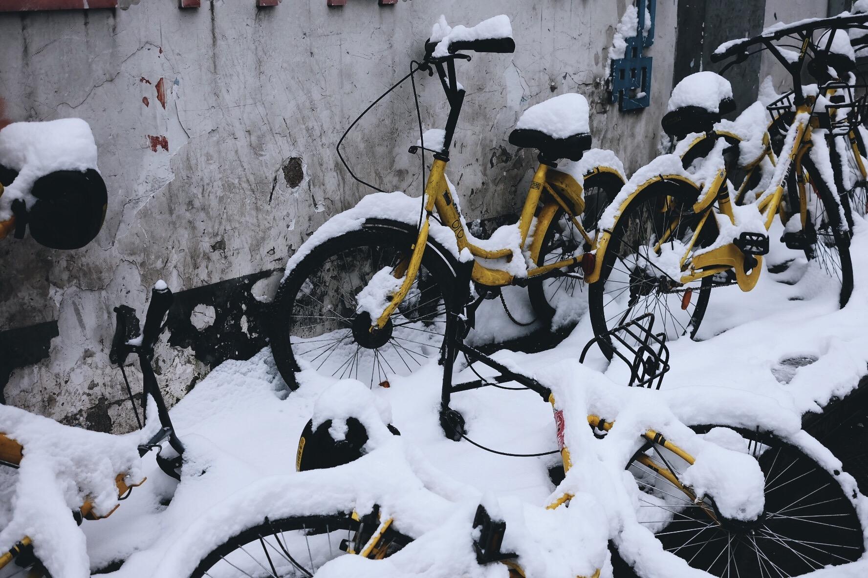Waiting for Snowing | Jiang Libo - 知乎