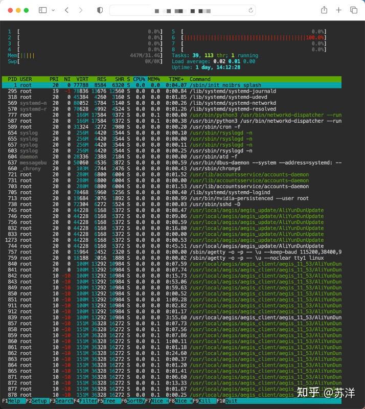 使用 Docker、Nginx 和 ttyd 提供稳定的 Web 终端服务 - 知乎