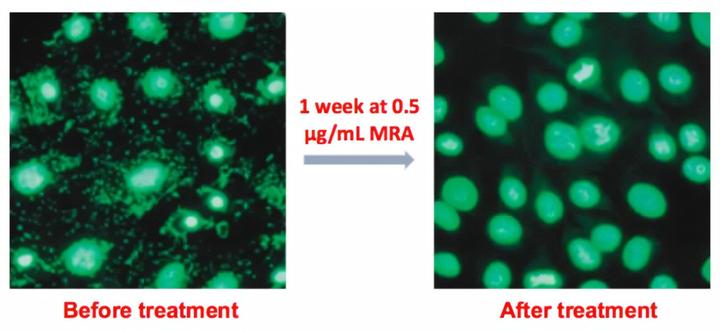 支原体去除剂；Mycoplasma Removal Agent - 知乎