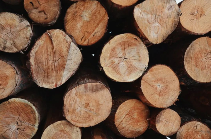 EUDR取代EUTR——欧盟木材法规 - 知乎