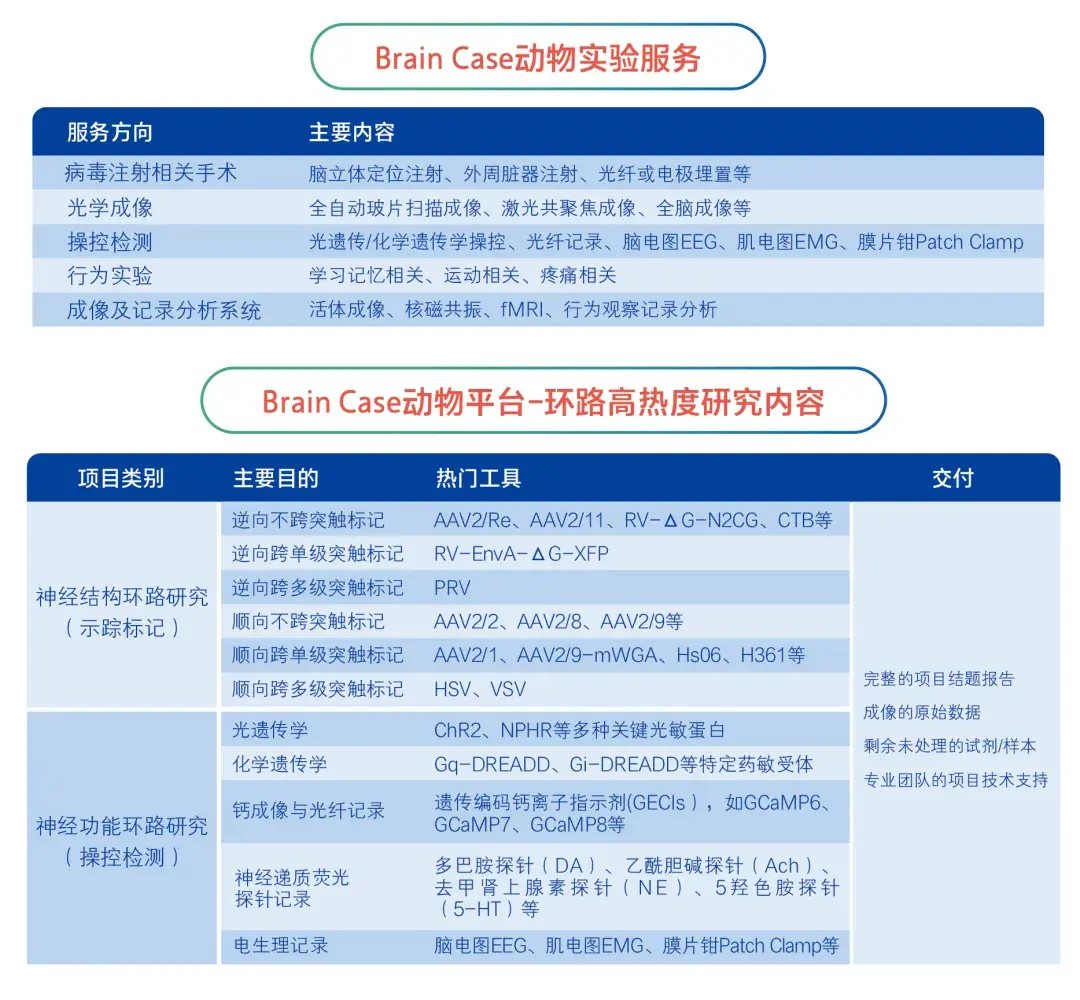科研服务 | Brain Case神经环路示踪服务 - 知乎