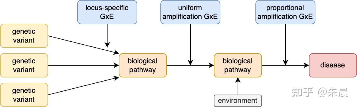 【观点】可用于解释个体行为特征的3种基因环境交互作用（GxE）模型 - 知乎