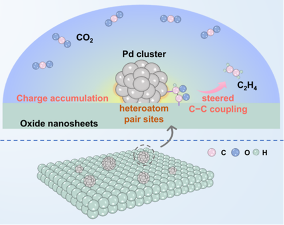 江南大学焦星辰课题组Angew：界面工程诱导C−C偶联实现光还原空气浓度CO2制C2H4 - 知乎